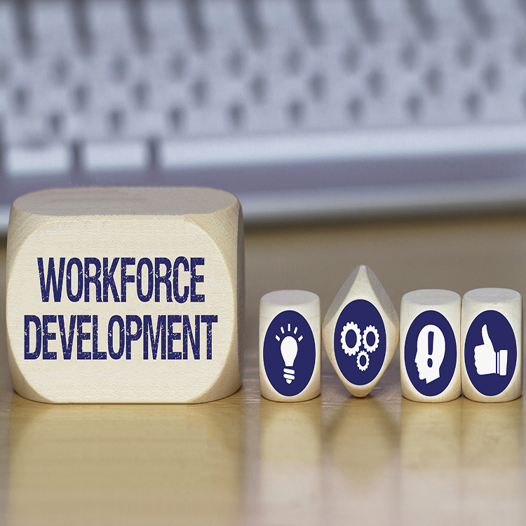 Workforce Development